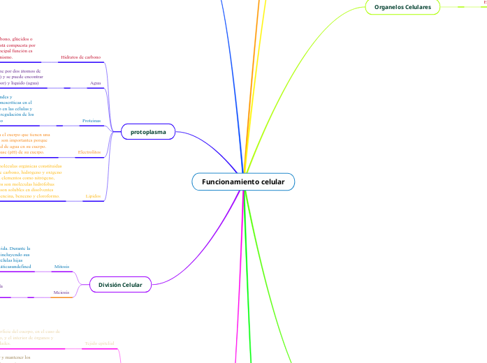 Funcionamiento celular - Mind Map